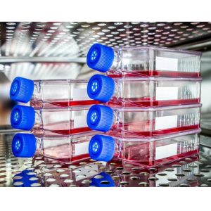 Featured Assay Kits – AS ONE INTERNATIONAL