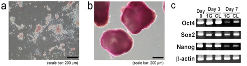 Gravity Controller Gravite - ULVAC (THAILAND) LTD. ULVAC (THAILAND) LTD.